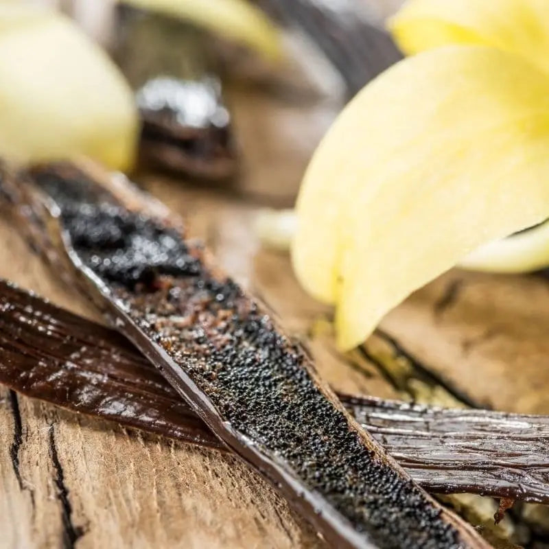 Madagascar Vanilla Perfume | Rich & Warm Fragrance (50 ml / 1.7 oz ...